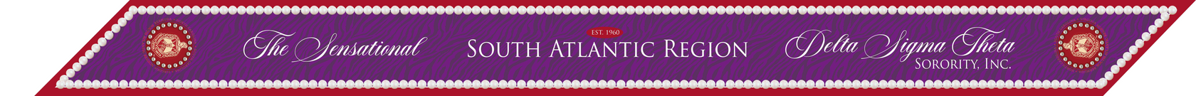 South Atlantic Region (SAR) Scarf w/Chapter Names – Sensational South ...